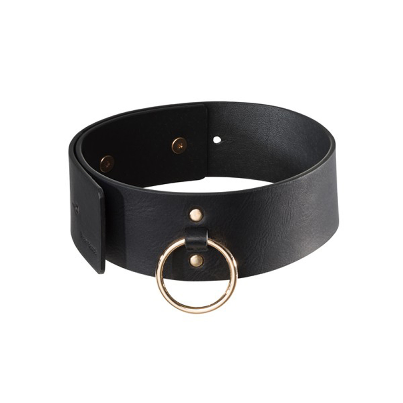 MAZE Collar With Leash